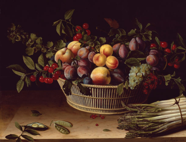 Anna Ruysch resource page