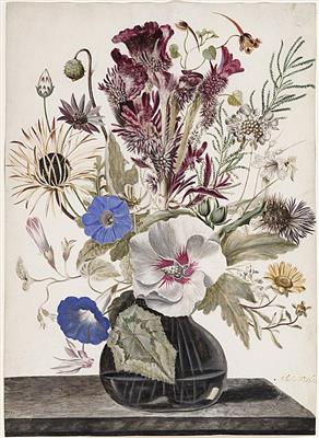 Dutch Artist Alida Withoos as a Painter and Botanical Illustrator