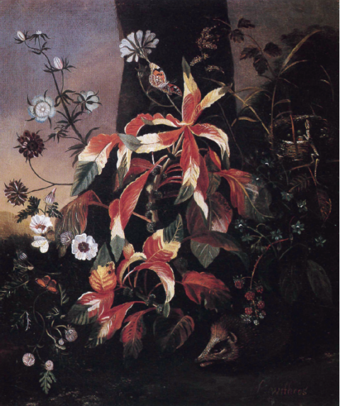 Dutch Artist Alida Withoos as a Painter and Botanical Illustrator