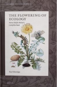 Maria Sibylla Merian | Her Contributions to Art & Science