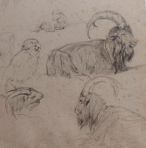 Rosa Bonheur at Musée d’Orsay | An Exhibition Review