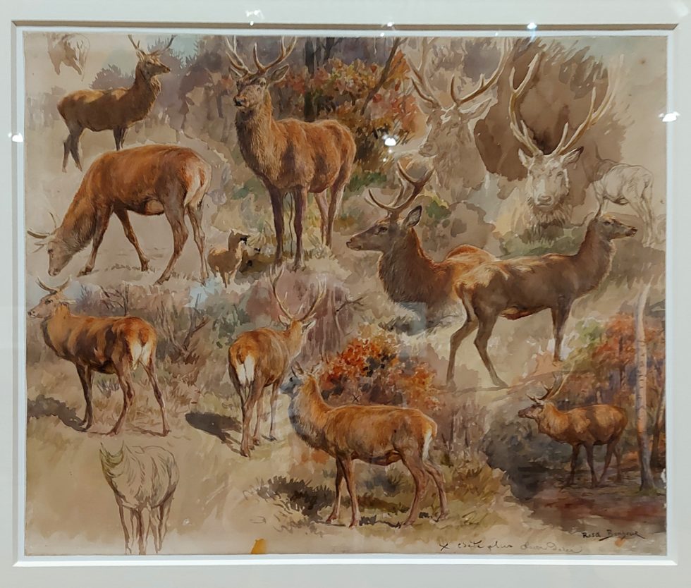 Rosa Bonheur at Musée d’Orsay | An Exhibition Review