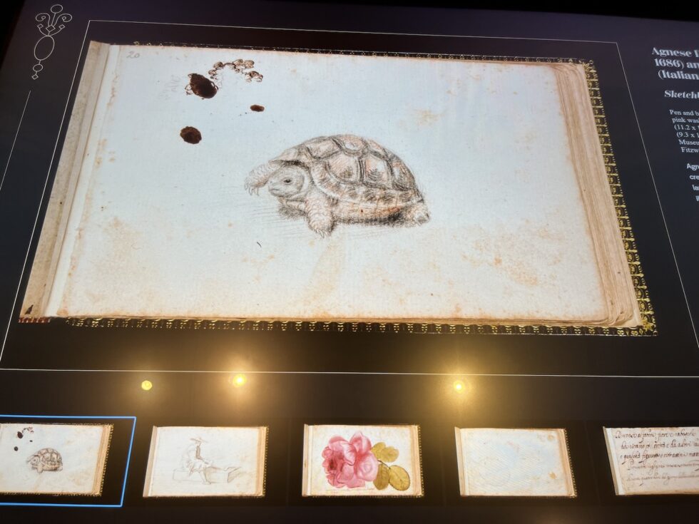 Making Her Mark at the Baltimore Museum of Art | A Review