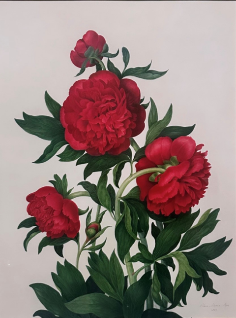 British Women Artists at Tate Britain | A Review of Now You See Us